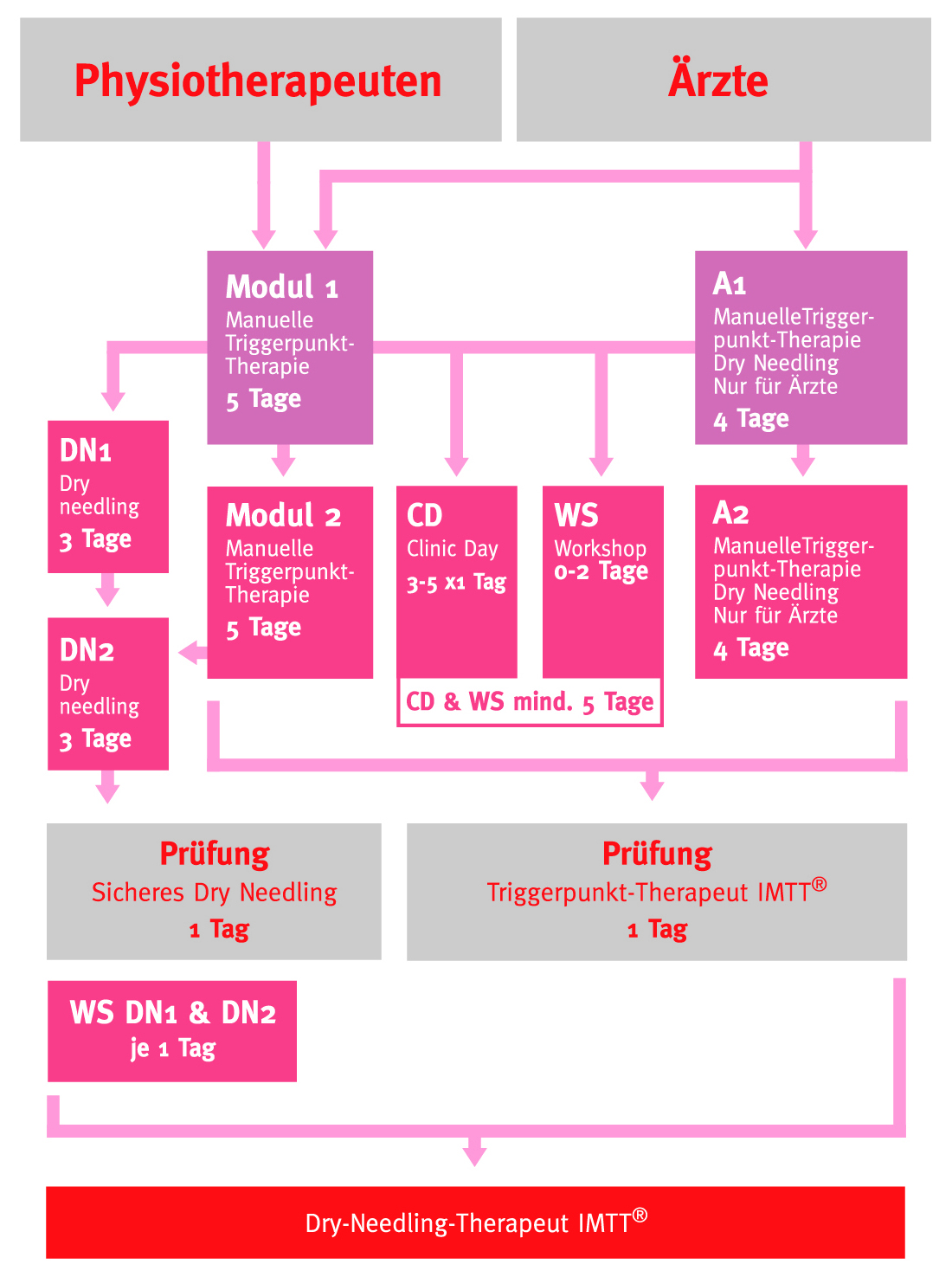 Ausbildungs- Curriculum | IMTT - Interessengemeinschaft für Myofasziale ...